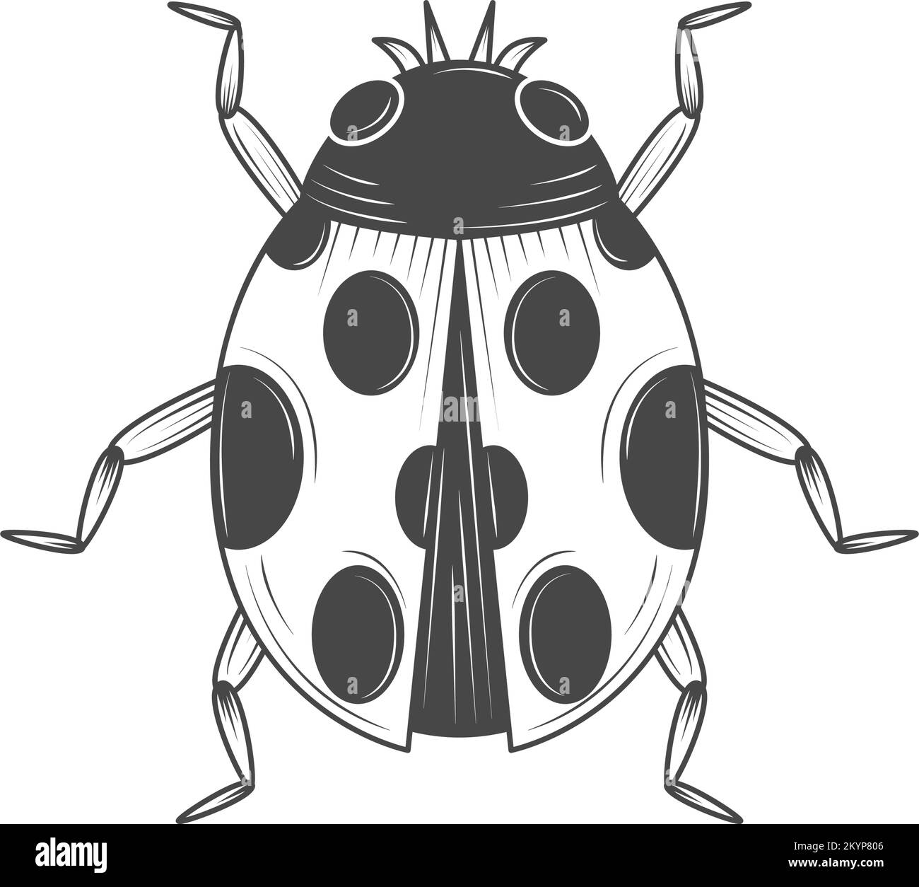 ladybird insect animal Stock Vector Image & Art - Alamy