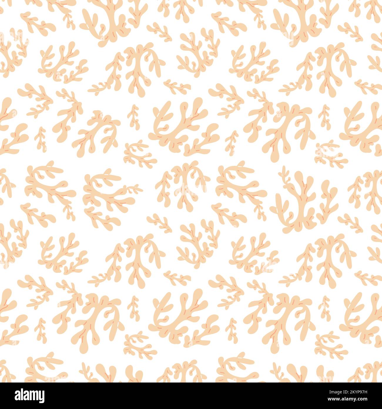 Scallops with coral Stock Vector Images - Alamy