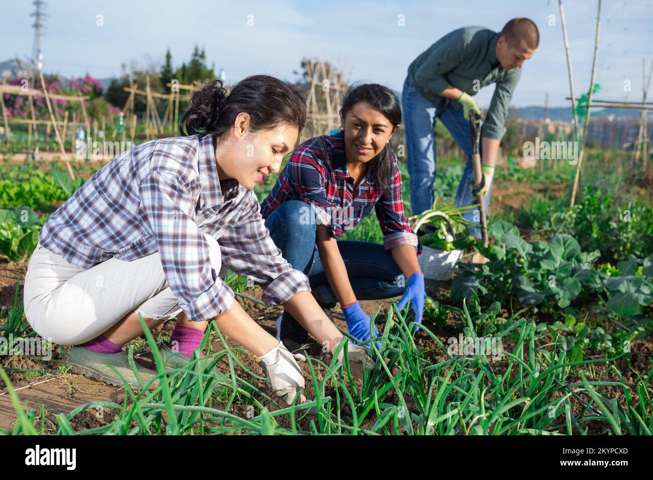 Female neighbors hi-res stock photography and images - Alamy