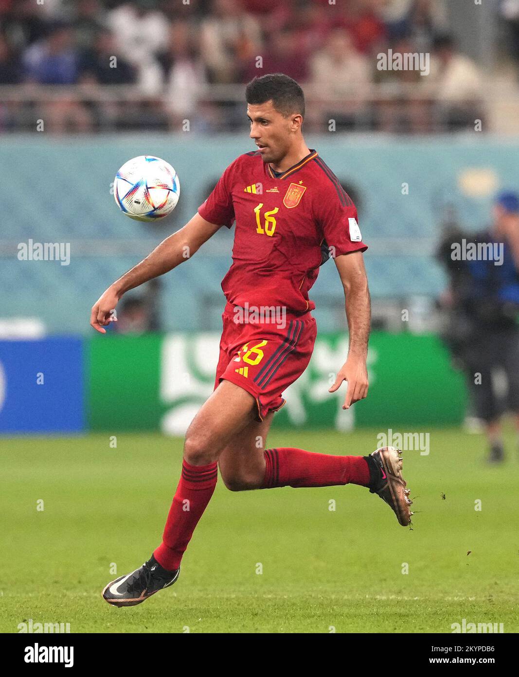 Spain's Rodri during the FIFA World Cup Group E match at the Khalifa ...