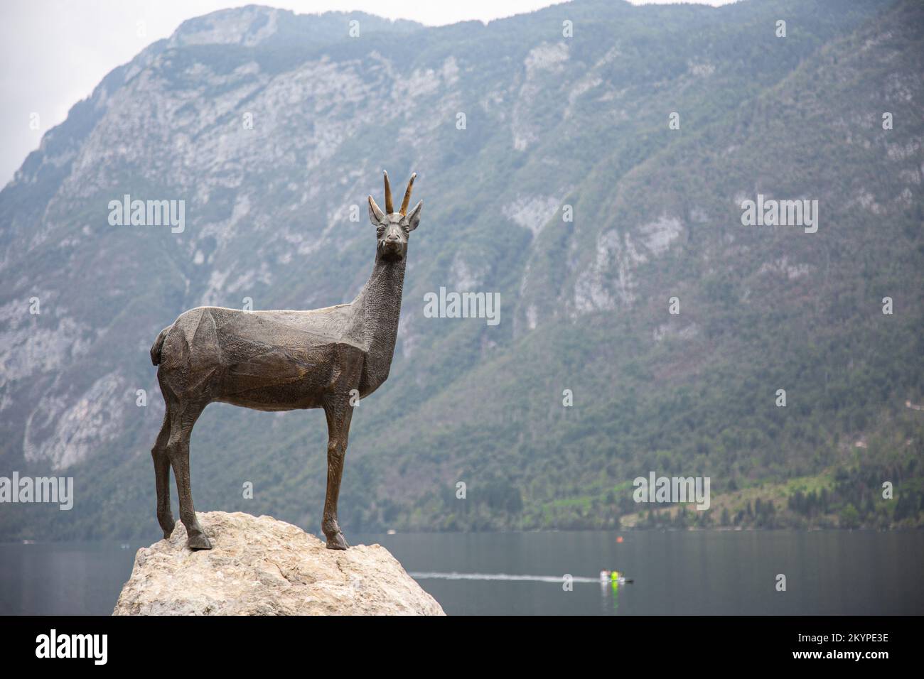 Goldhorn zlatorog deer photo hi-res stock photography and images - Alamy