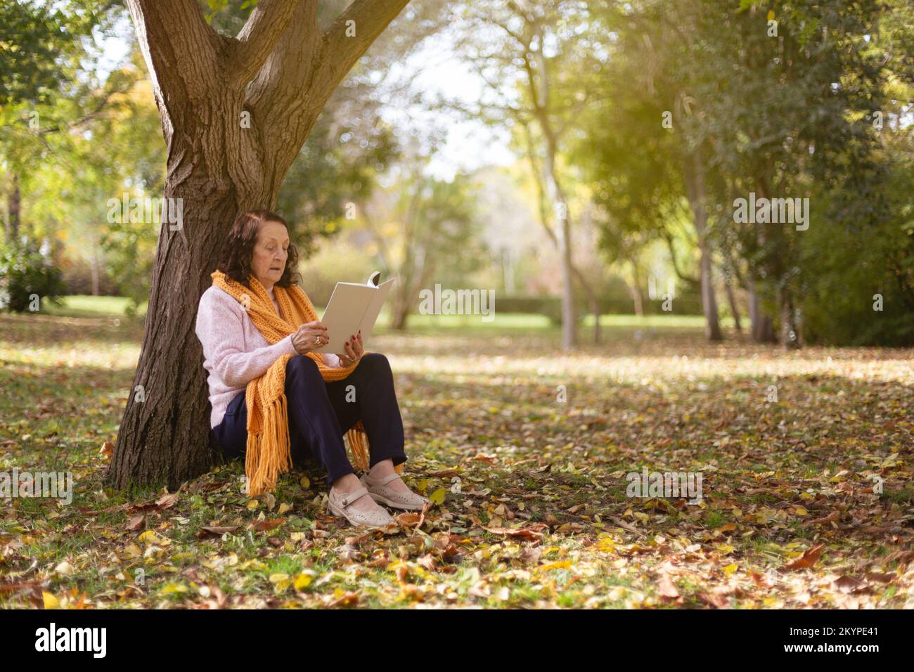 Elderly Caucasian woman reading a book in contact with nature. Autumn ...