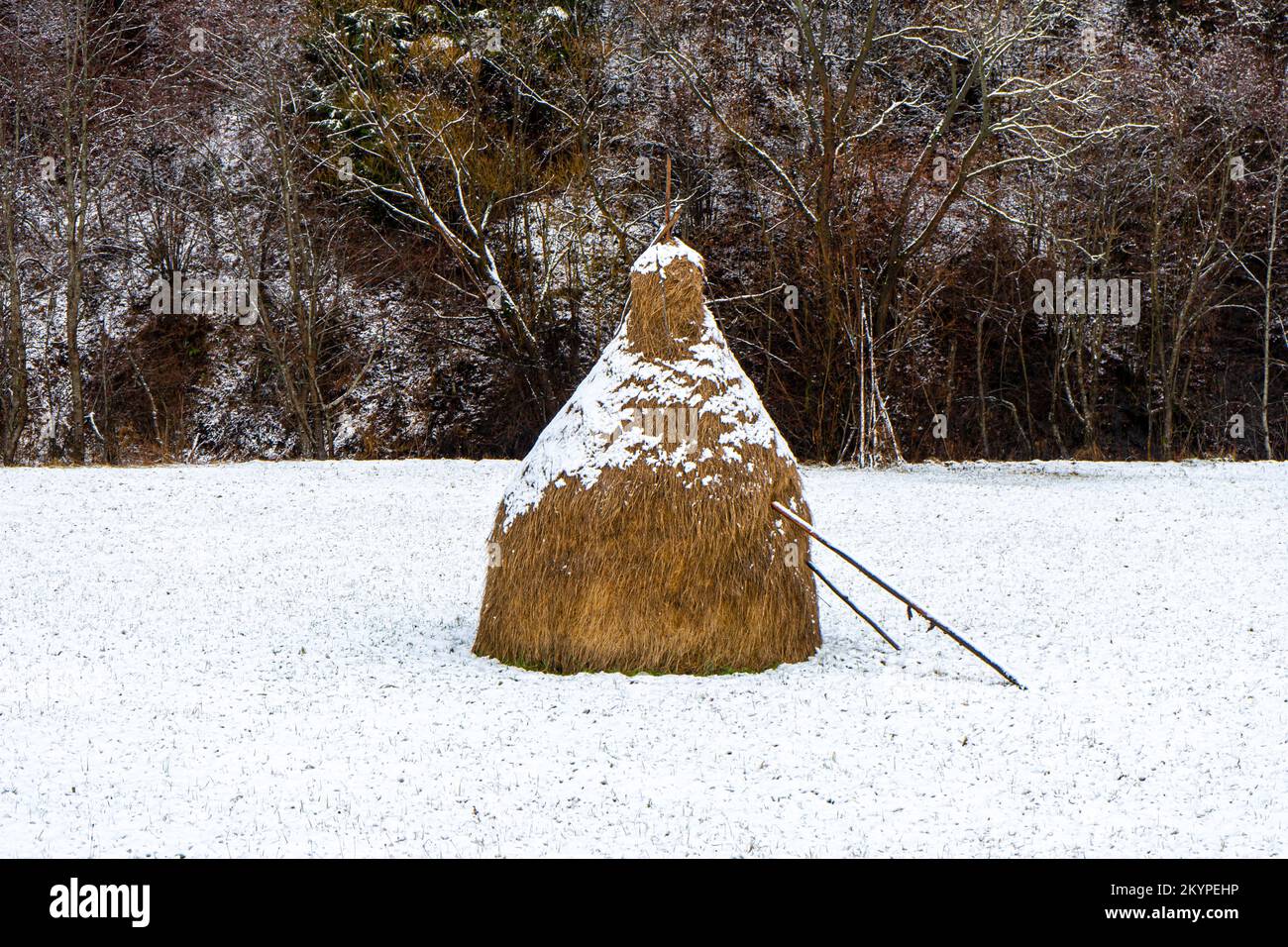 Haycock hi-res stock photography and images - Alamy