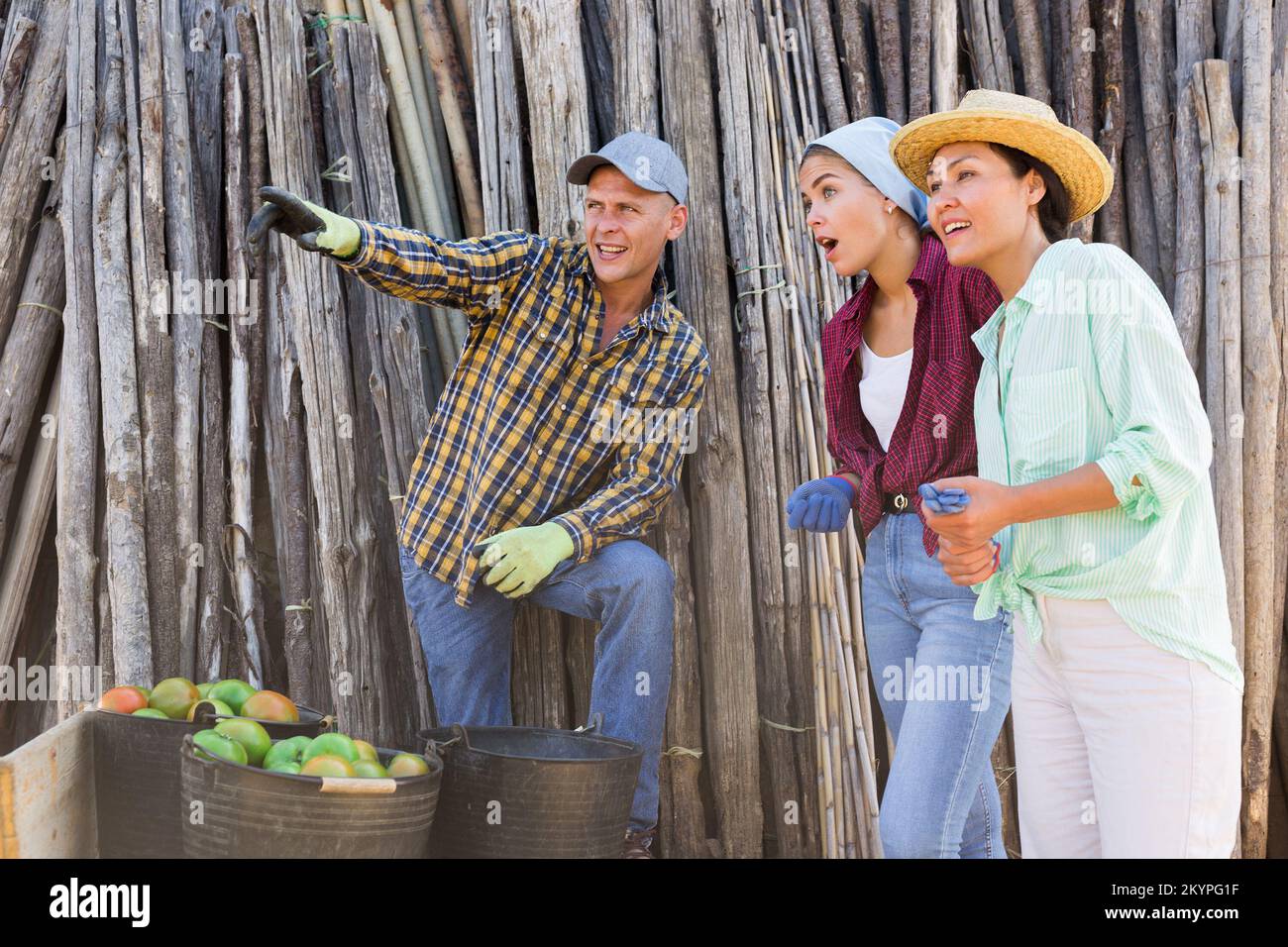 Timeout team hi-res stock photography and images - Alamy