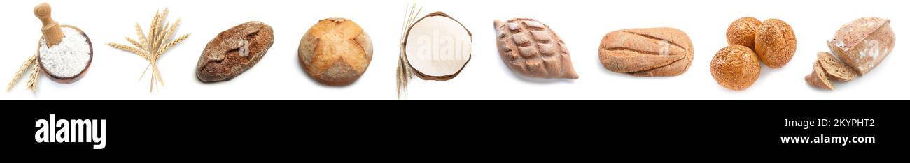 Collage of crunchy loaves of bread with wheat spikelets, fresh flour ...