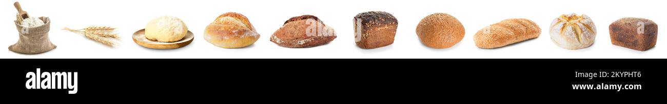 Collage of crunchy loaves of bread with wheat spikelets, fresh flour ...