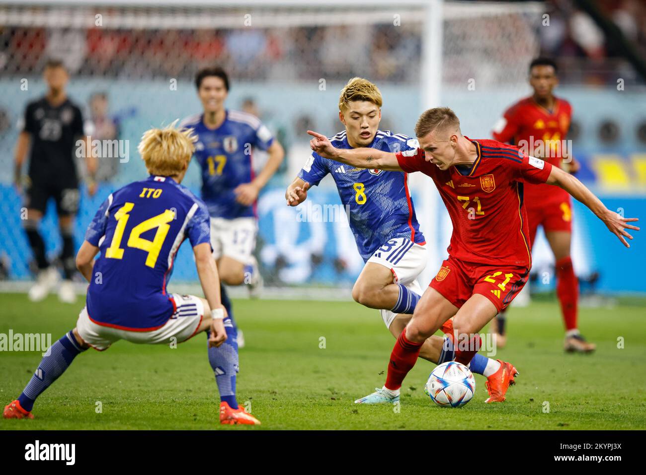 Doha, Catar. 01st Dec, 2022. OLMO Dani of Spain and ITO Junya of Japan ...