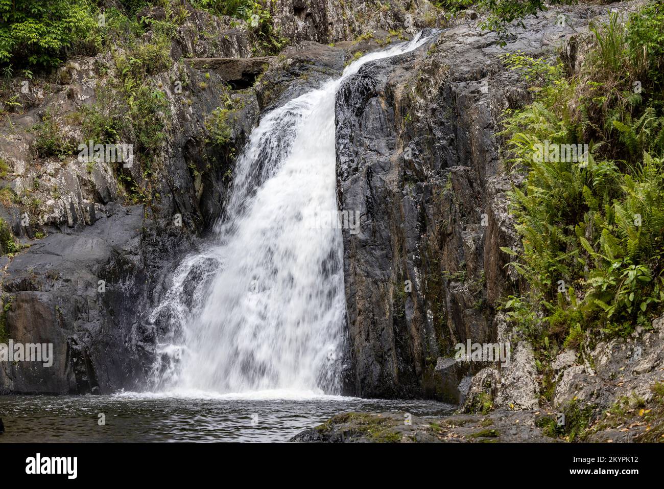 Crystal Cascades, Freshwater Creek Cairns Australia Stock Photo - Alamy