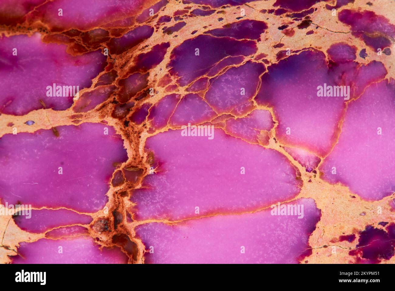 High grade turquoise are used for inlays hi-res stock photography and ...