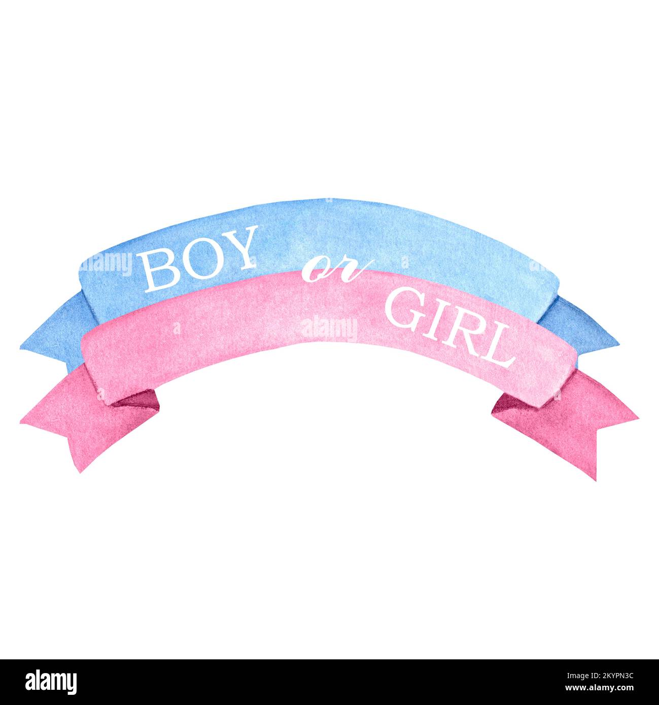 Pink and blue ribbons for gender party. Art watercolor illustration ...