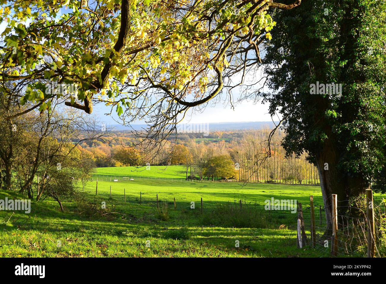 Countryside at Underriver, south of Sevenoaks in late autumn, looking ...