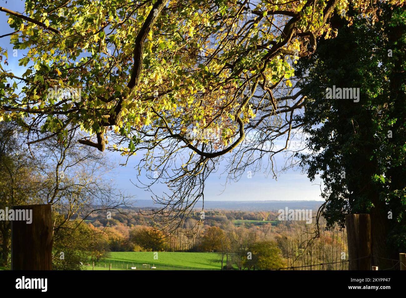 Sunny panoramas hi-res stock photography and images - Alamy