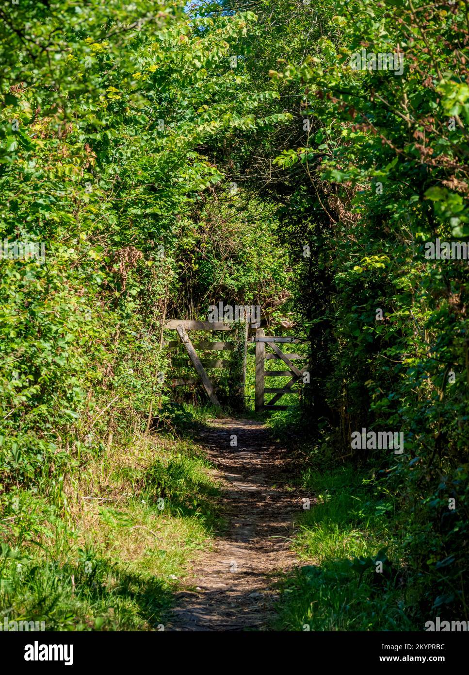 Countryside footpath, Litlington, Wealden District, East Sussex ...