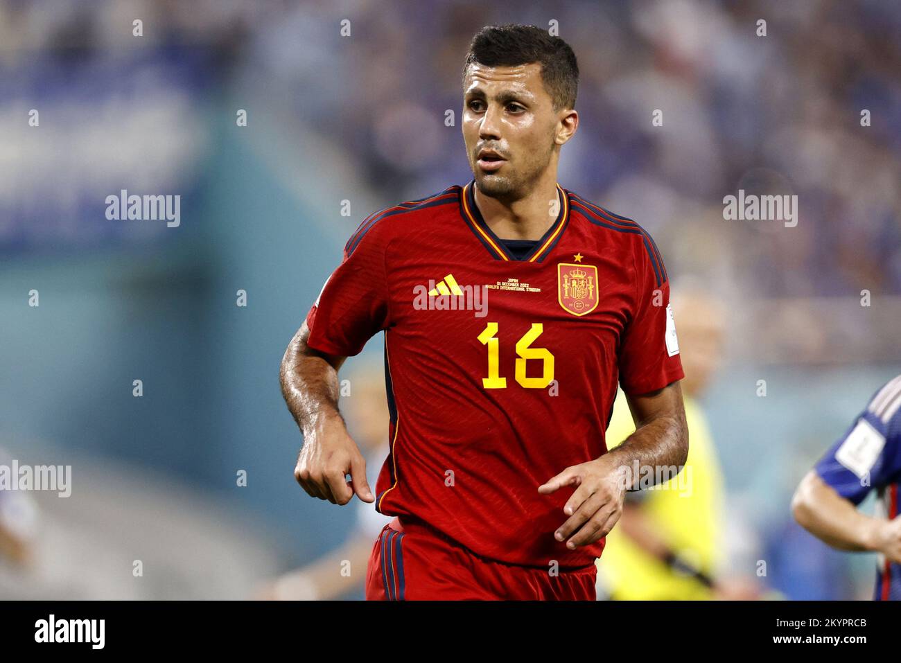 Ar-Rayyan, Qatar. December 1, 2022, Rodrigo Hernandez of Spain during ...