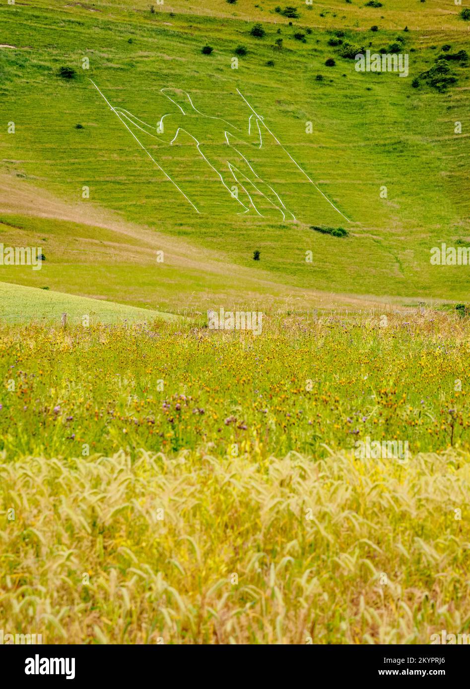 Wealden outline hi-res stock photography and images - Alamy