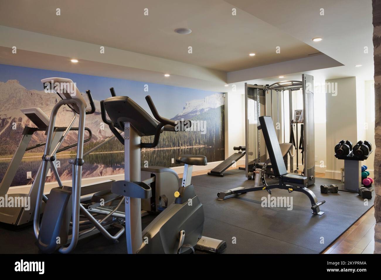 Basement exercise room with professional fitness equipment inside ...