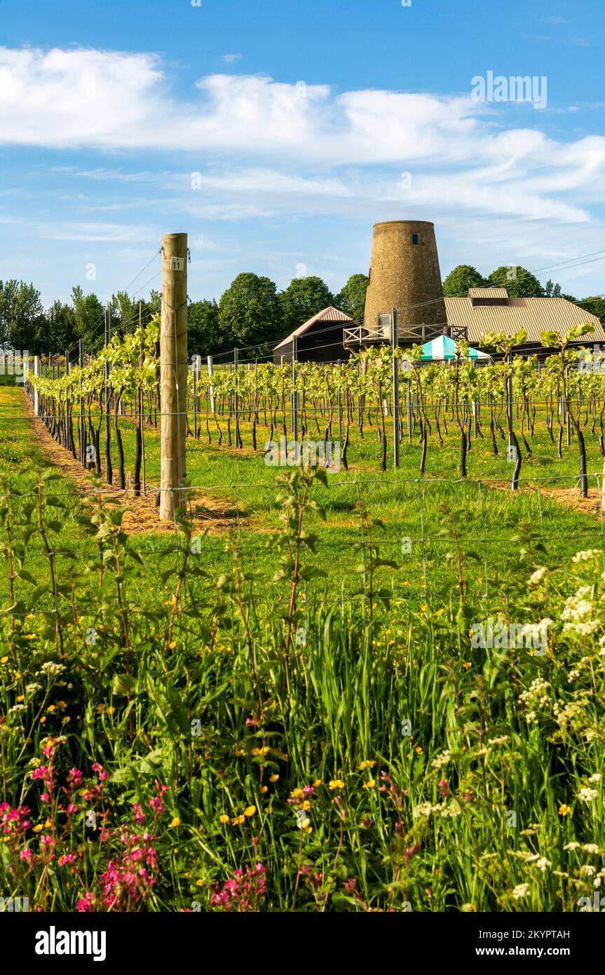 Nutbourne hi-res stock photography and images - Alamy