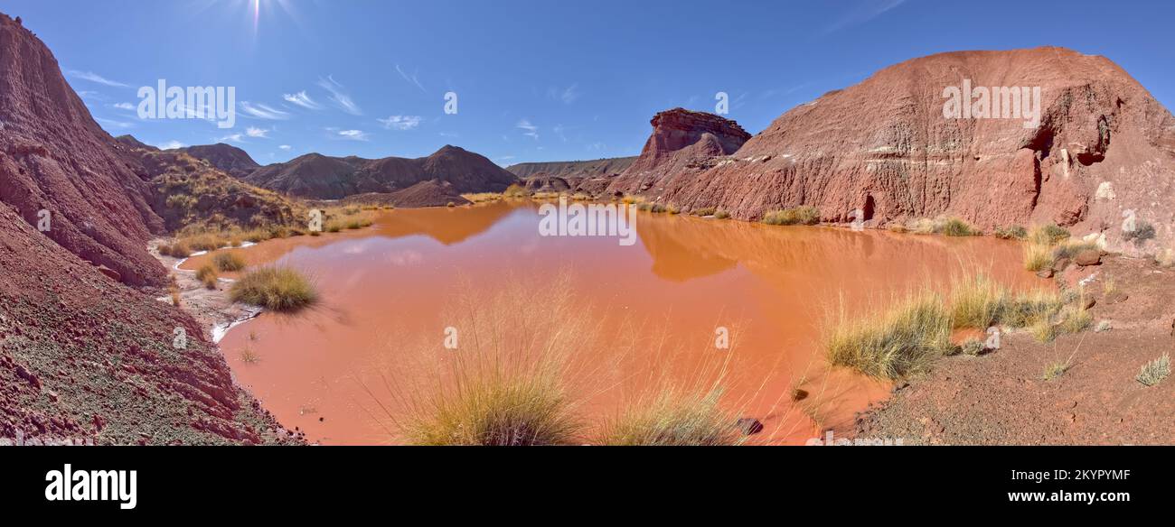 Tiponi flats hi-res stock photography and images - Alamy