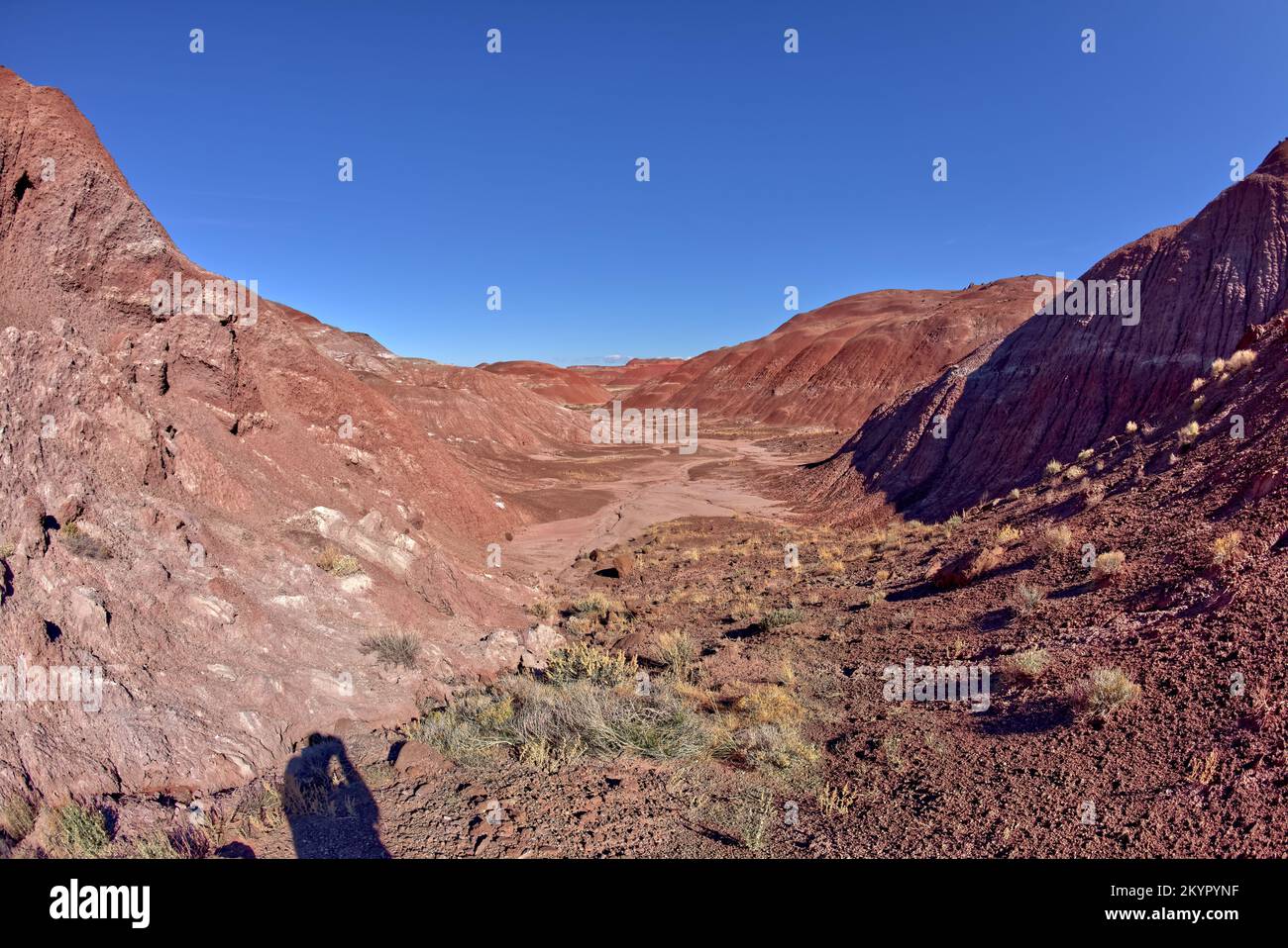 View of the drainage canyon from the north side of the Tiponi Flats ...