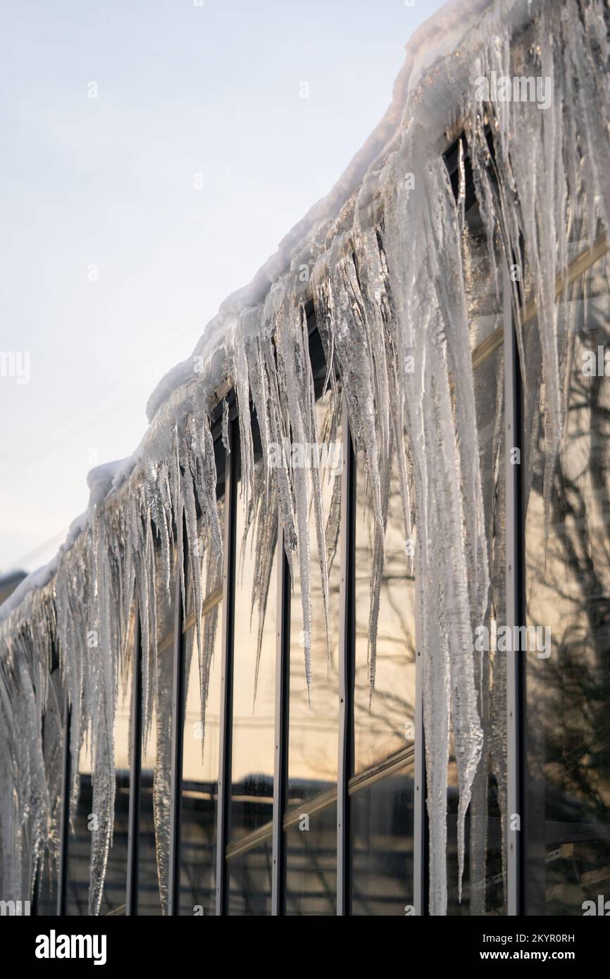 Icicles hang from roof and wall in winter. Frozen water from melting ...