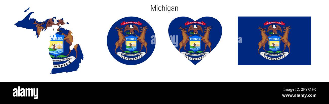 Michigan flag icon set. American state pennant in official colors and ...