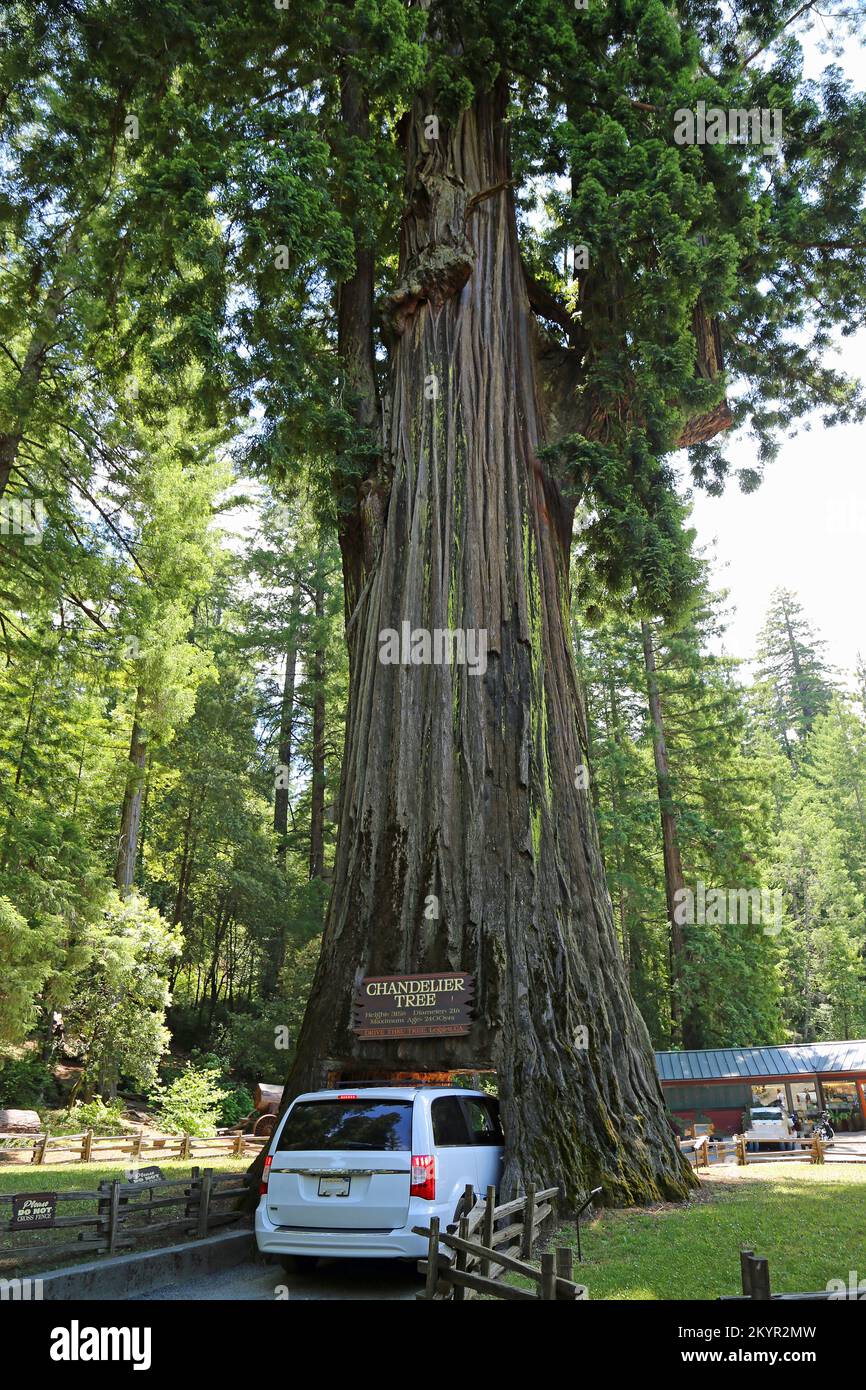 Romantic chandelier hi-res stock photography and images - Alamy