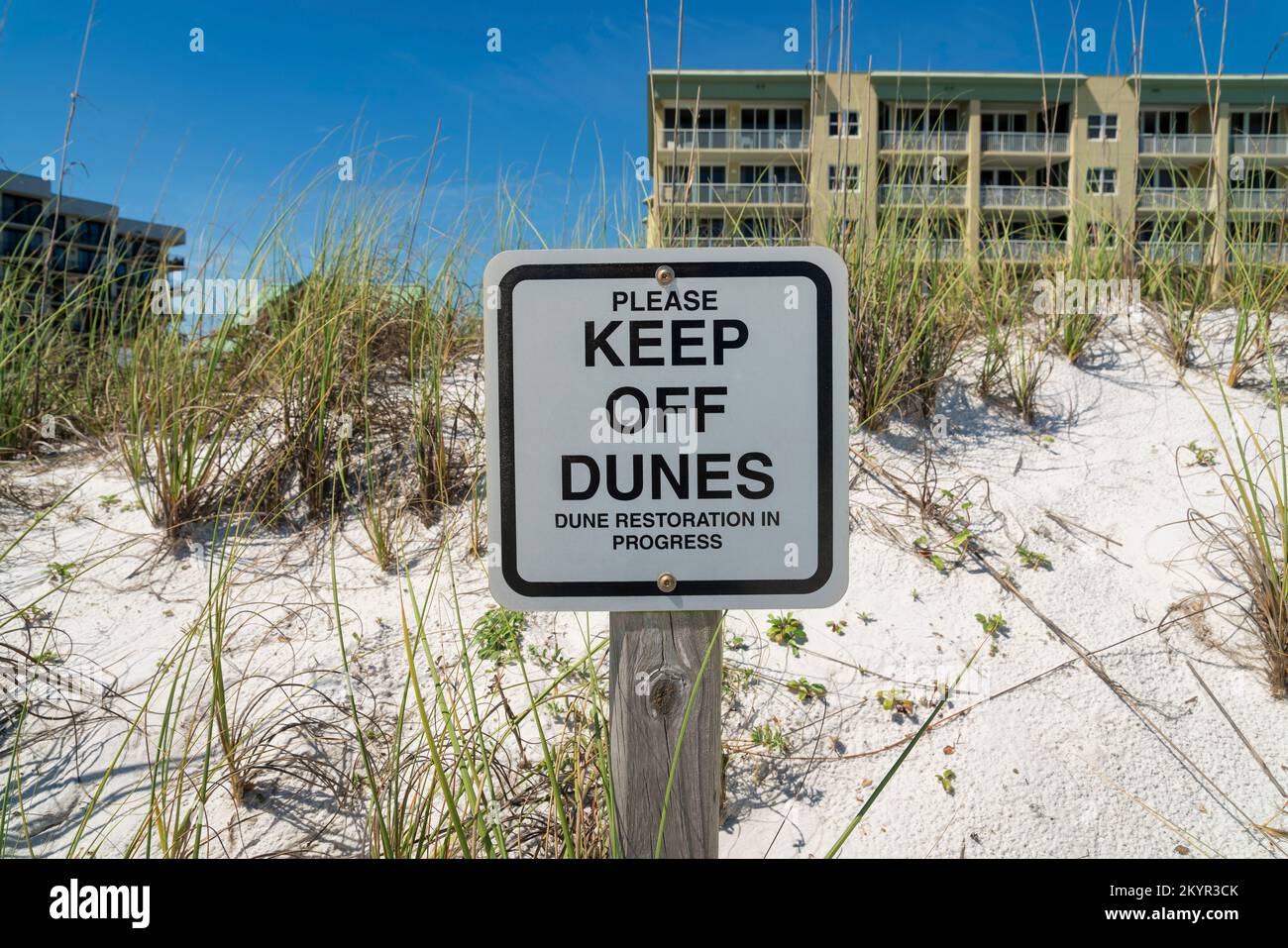 Please Keep Off Dunes, Dune Restoration in Progress signage on white ... Please Keep Off Dunes, Dune Restoration in Progress signage on white ...