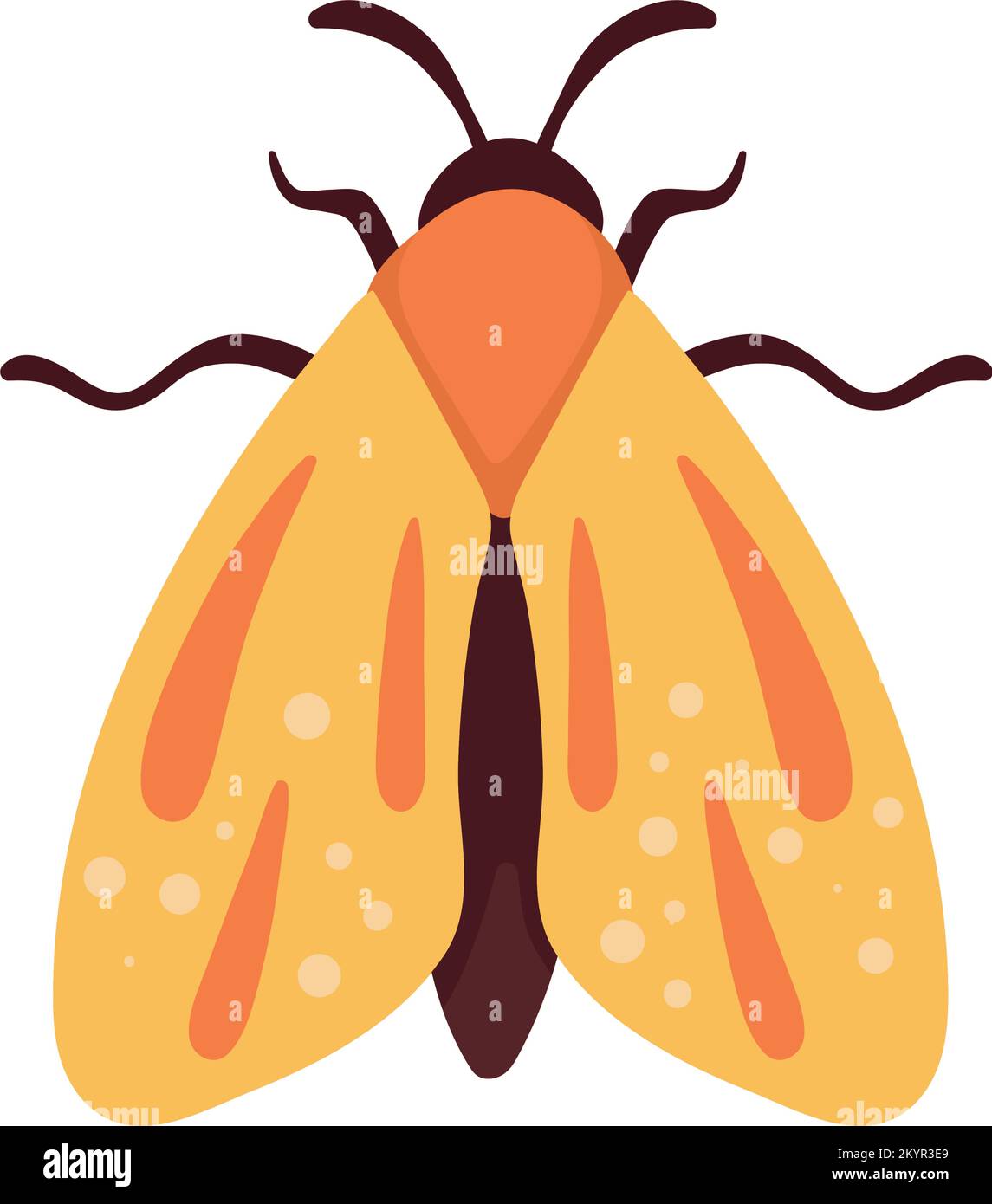 yellow moth insect animal Stock Vector Image & Art - Alamy