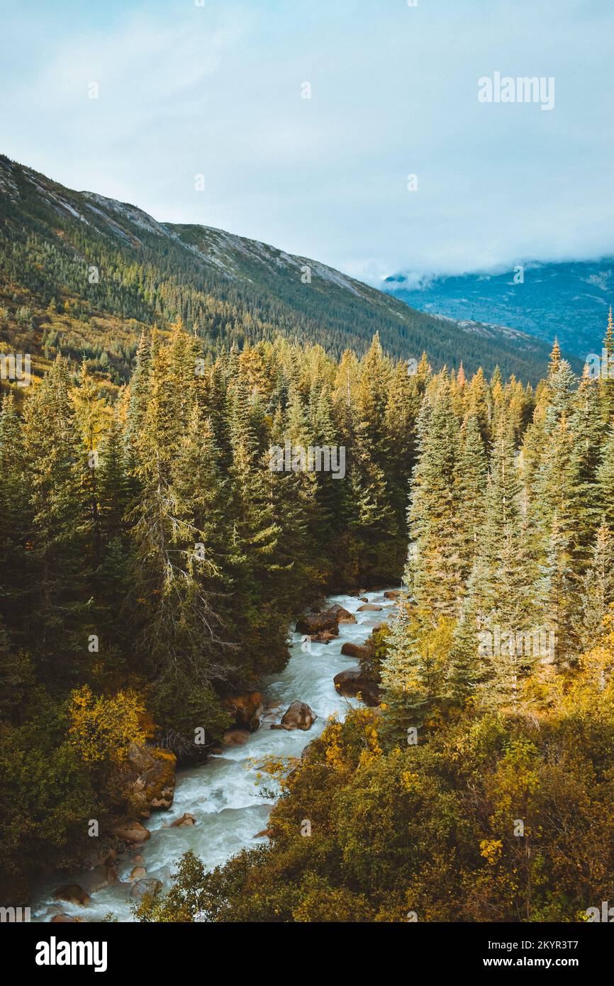 The spruce river hi-res stock photography and images - Alamy