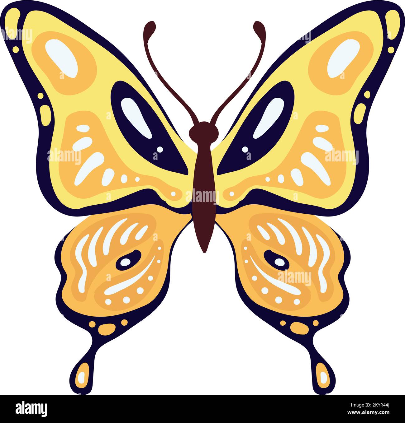 Yelow wing hi-res stock photography and images - Alamy