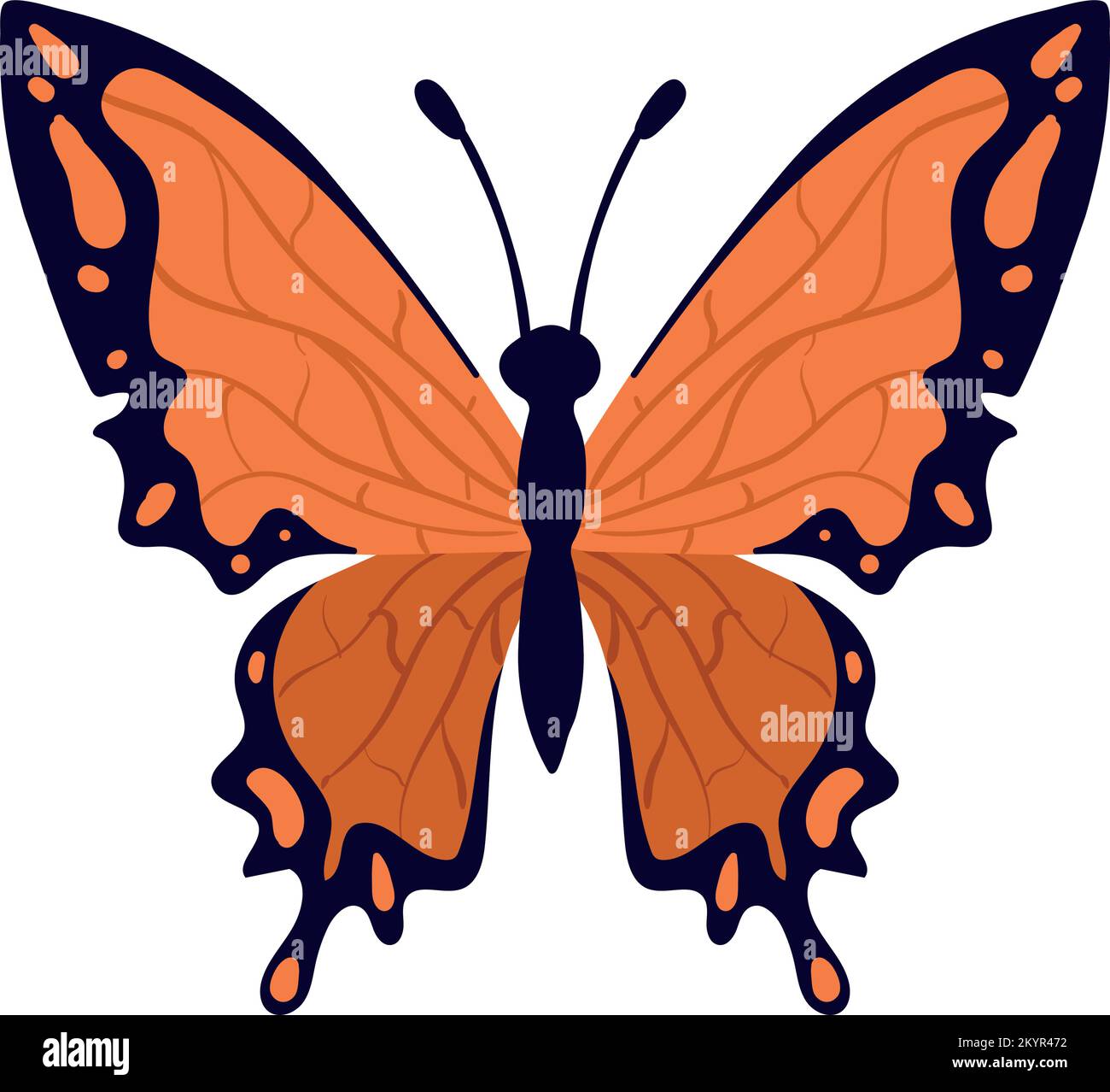 butterfly with orange wings Stock Vector Image & Art - Alamy