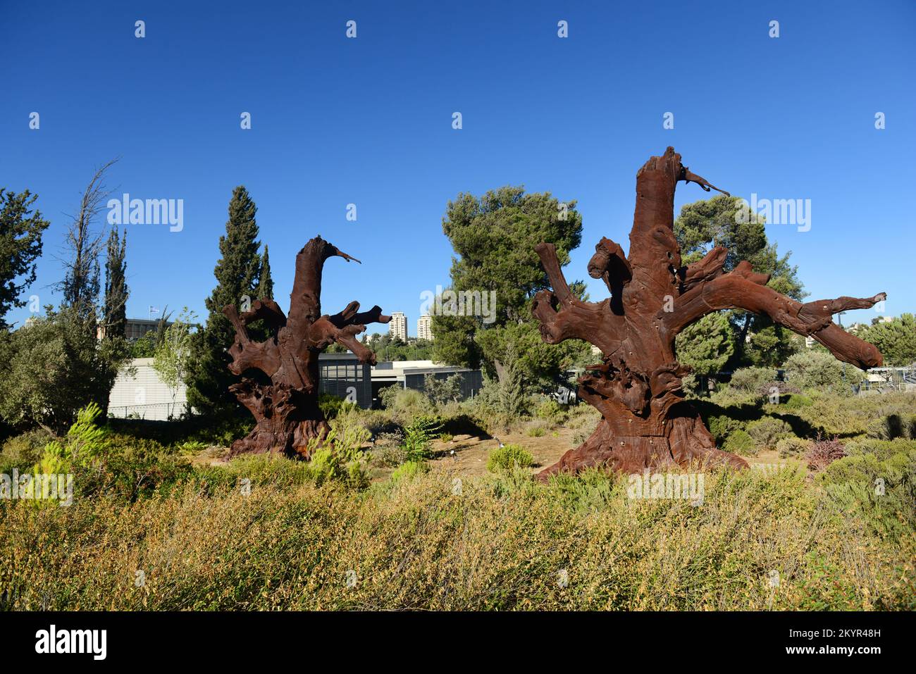Plants monumental iron trees hi-res stock photography and images - Alamy