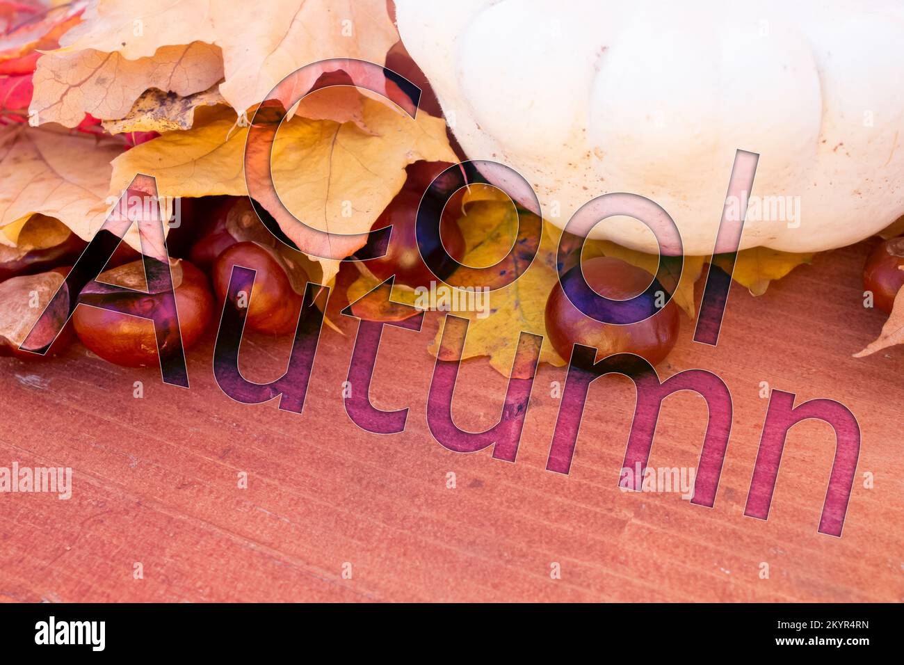 Cool Autumn leaves, objects with Autumn text. Natural patterns, color ...