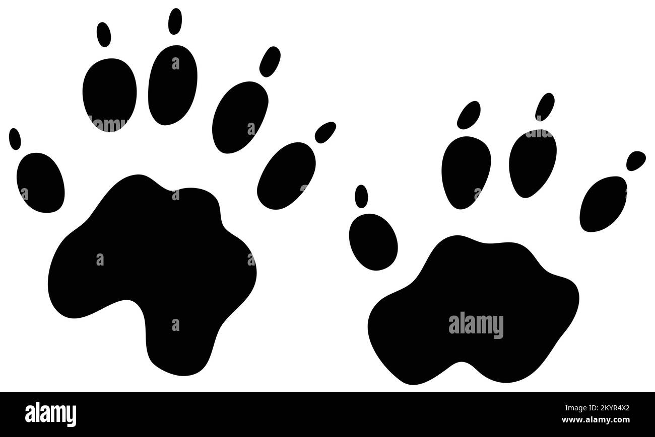 Polecat footprint Stock Vector Images - Alamy