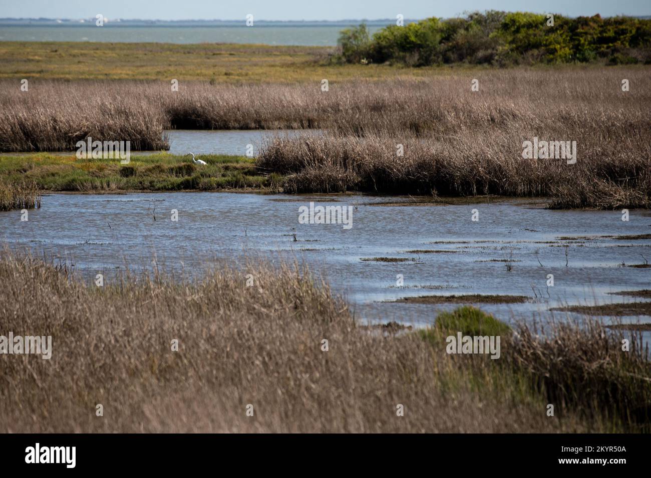 Usfws refuge hi-res stock photography and images - Alamy