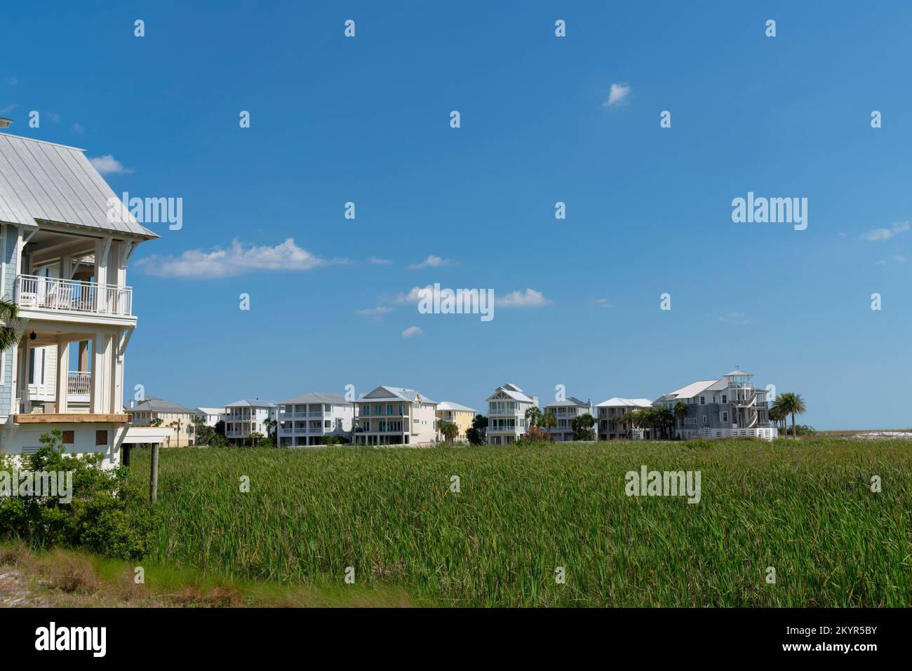 Field of tall grasses in the middle of large house buildings at Destin ...