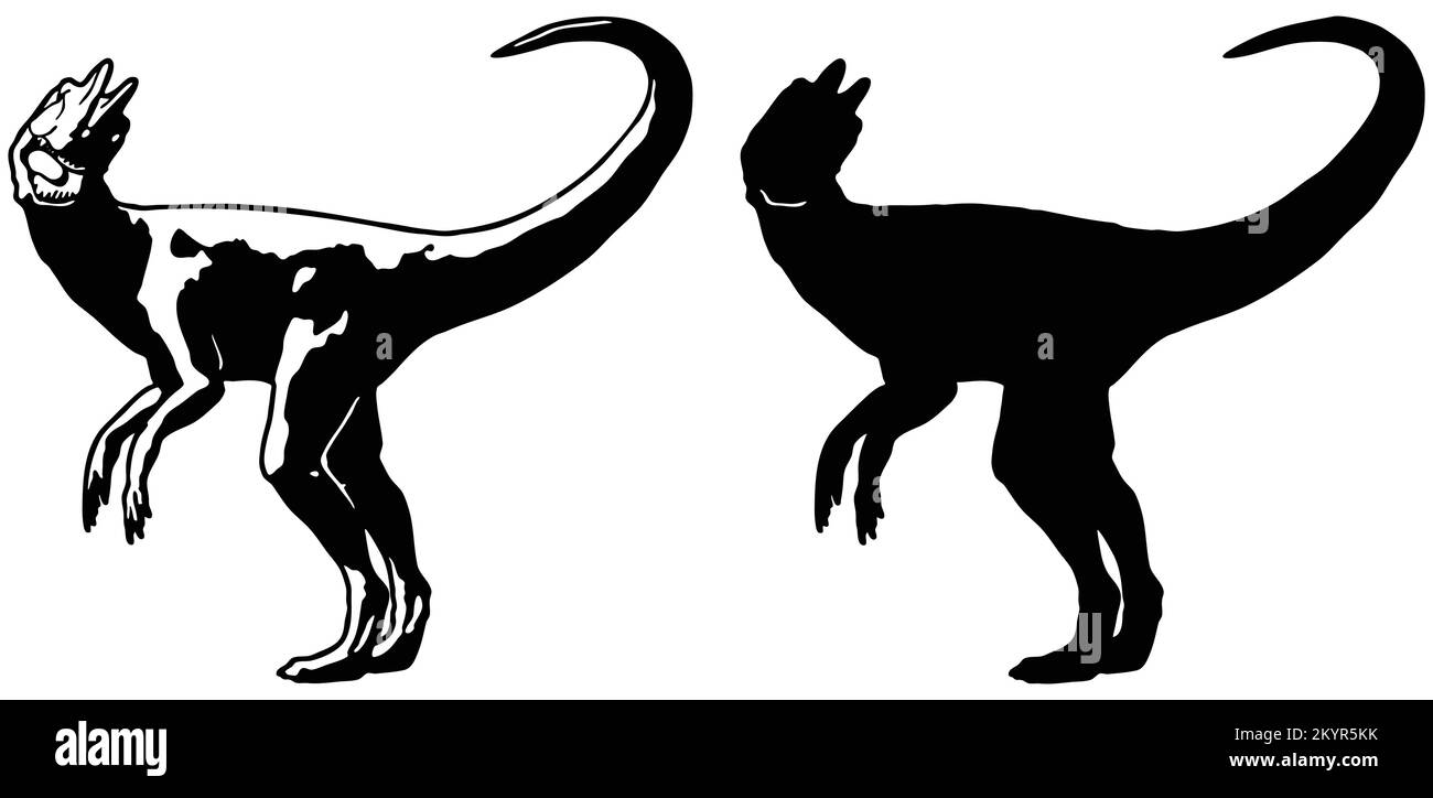 Tyrannosaurus silhouette hi-res stock photography and images - Alamy