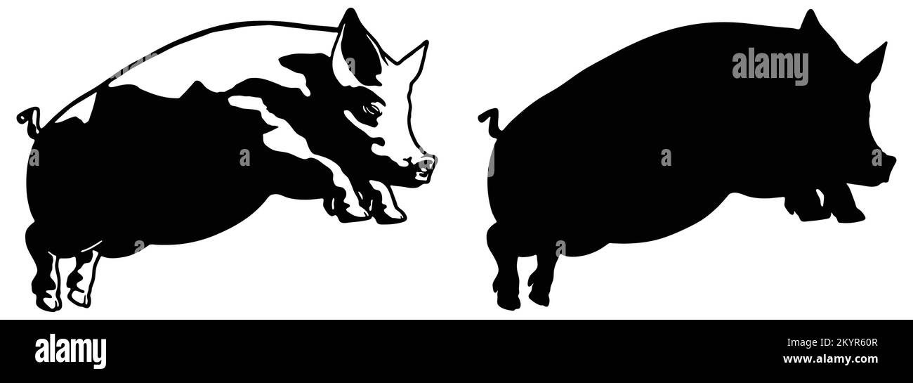 Pig silhouette icon running Stock Vector Images - Alamy