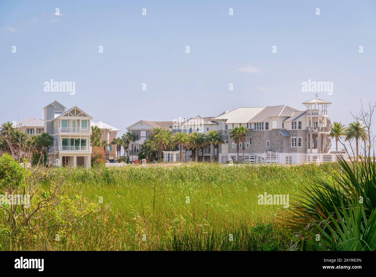 Field of tall green grasses near the residential area with large houses ...