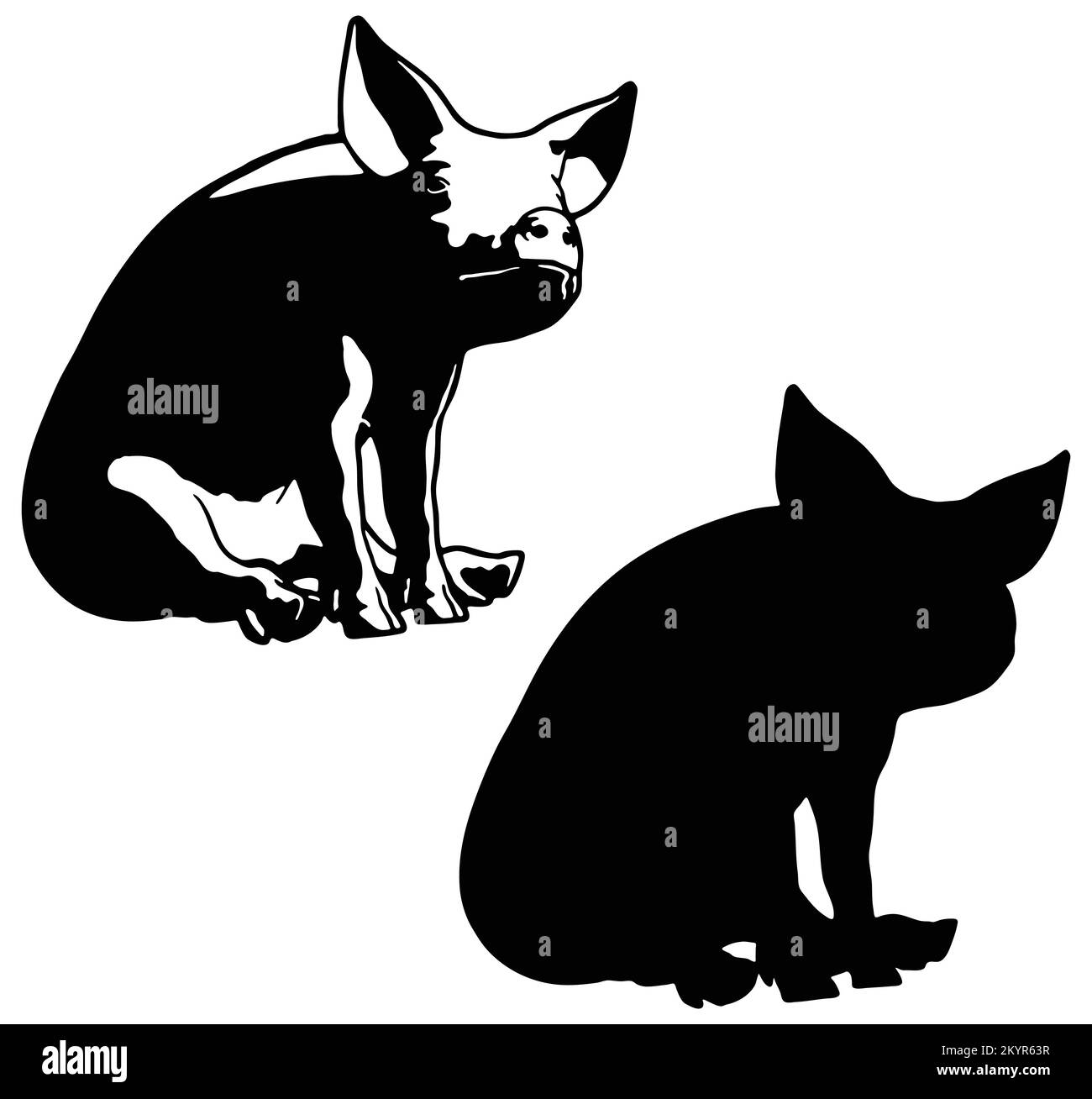 Front view of pigs Stock Vector Images - Alamy