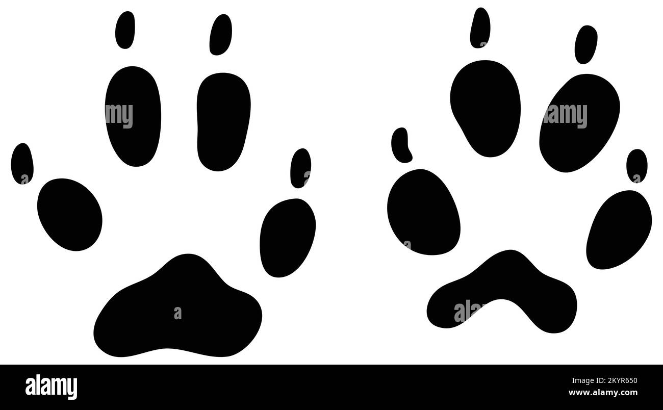 Mammal background Black and White Stock Photos & Images - Alamy