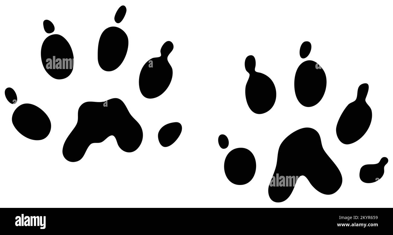 American mink illustration animal mammal american hi-res stock ...