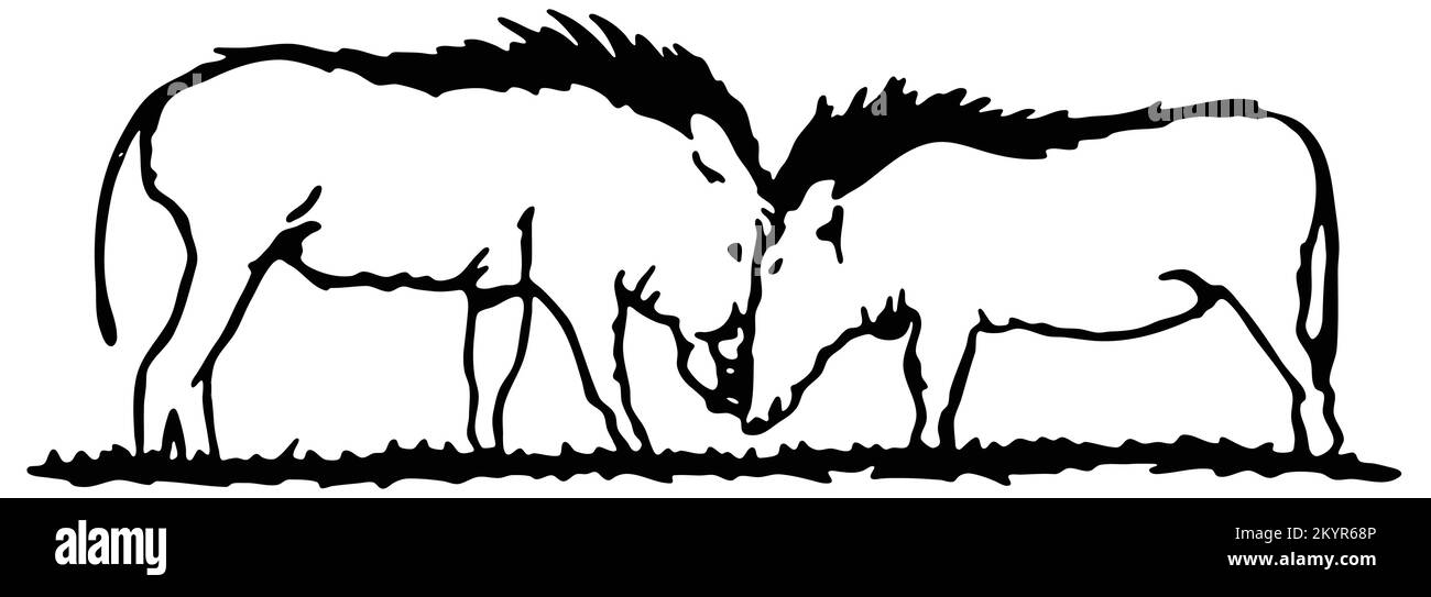 Warthog vector hi-res stock photography and images - Alamy