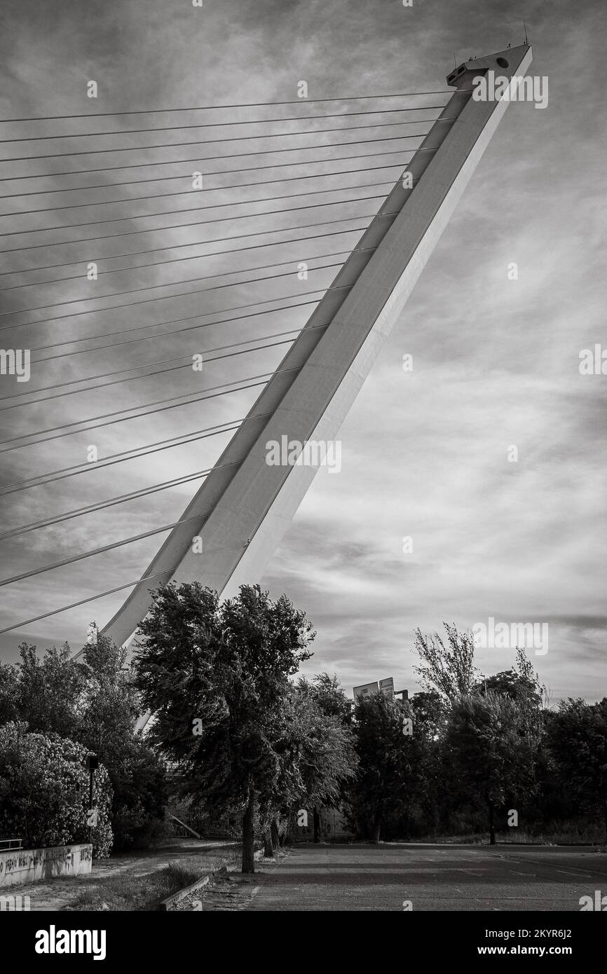 View of the famous inclined tower of Alamillo Bridge, which was built ...