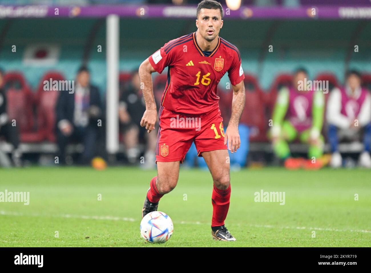 Ar Rayyan, Qatar, December 1, 2022 RODRI of Spain during the FIFA World ...