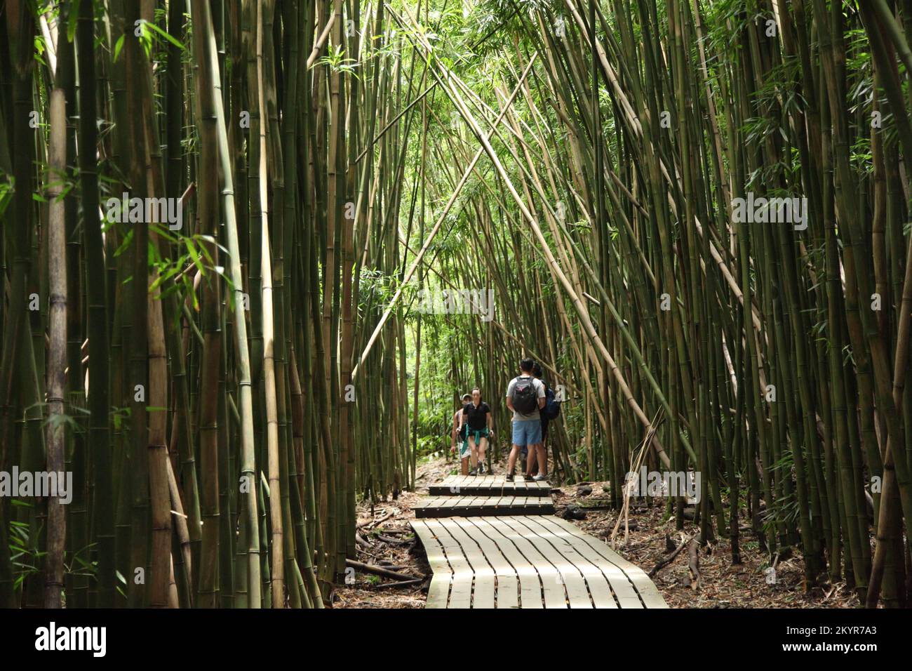 Pipiwai Trail, Maui, Hawaii Stock Photo - Alamy