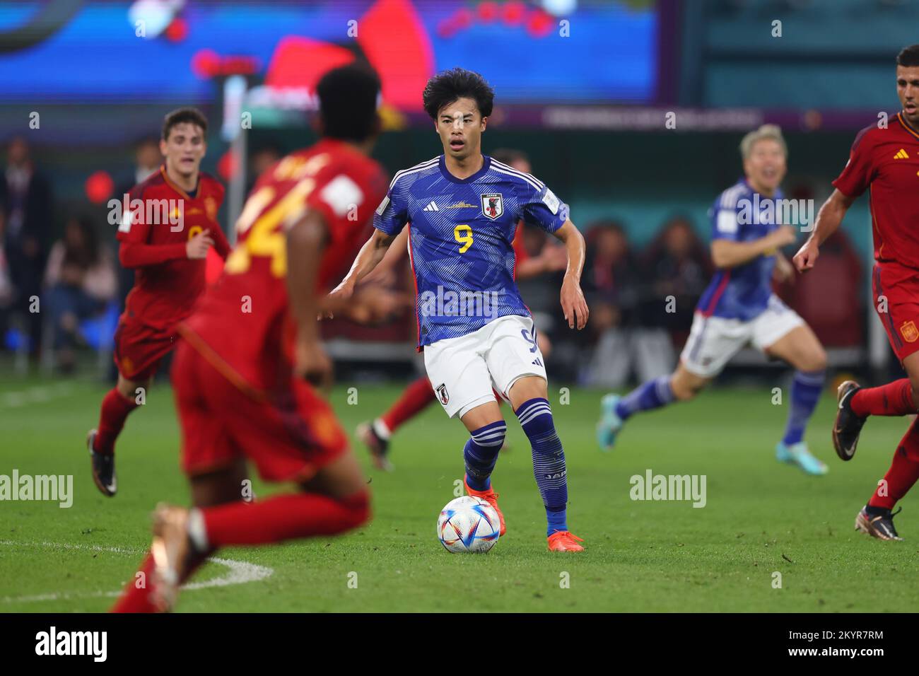 Al Rayyan, Qatar. 1st Dec, 2022. Kaoru Mitoma (JPN) Football/Soccer ...