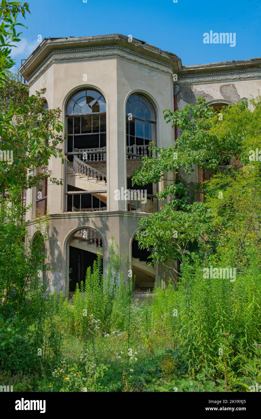 Thickets in the ruins hi-res stock photography and images - Alamy