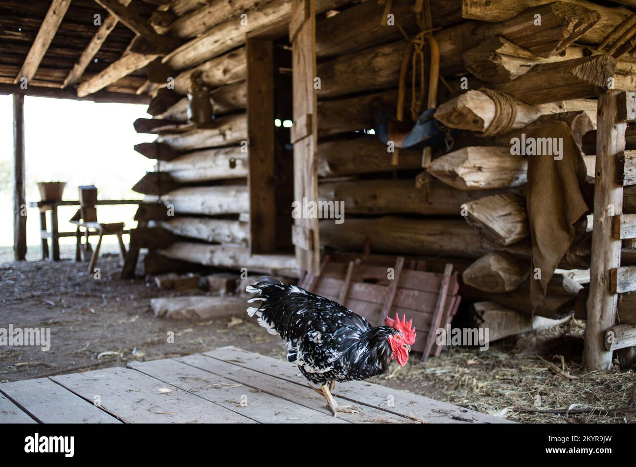 Historical scenes from Central Texas Stock Photo - Alamy