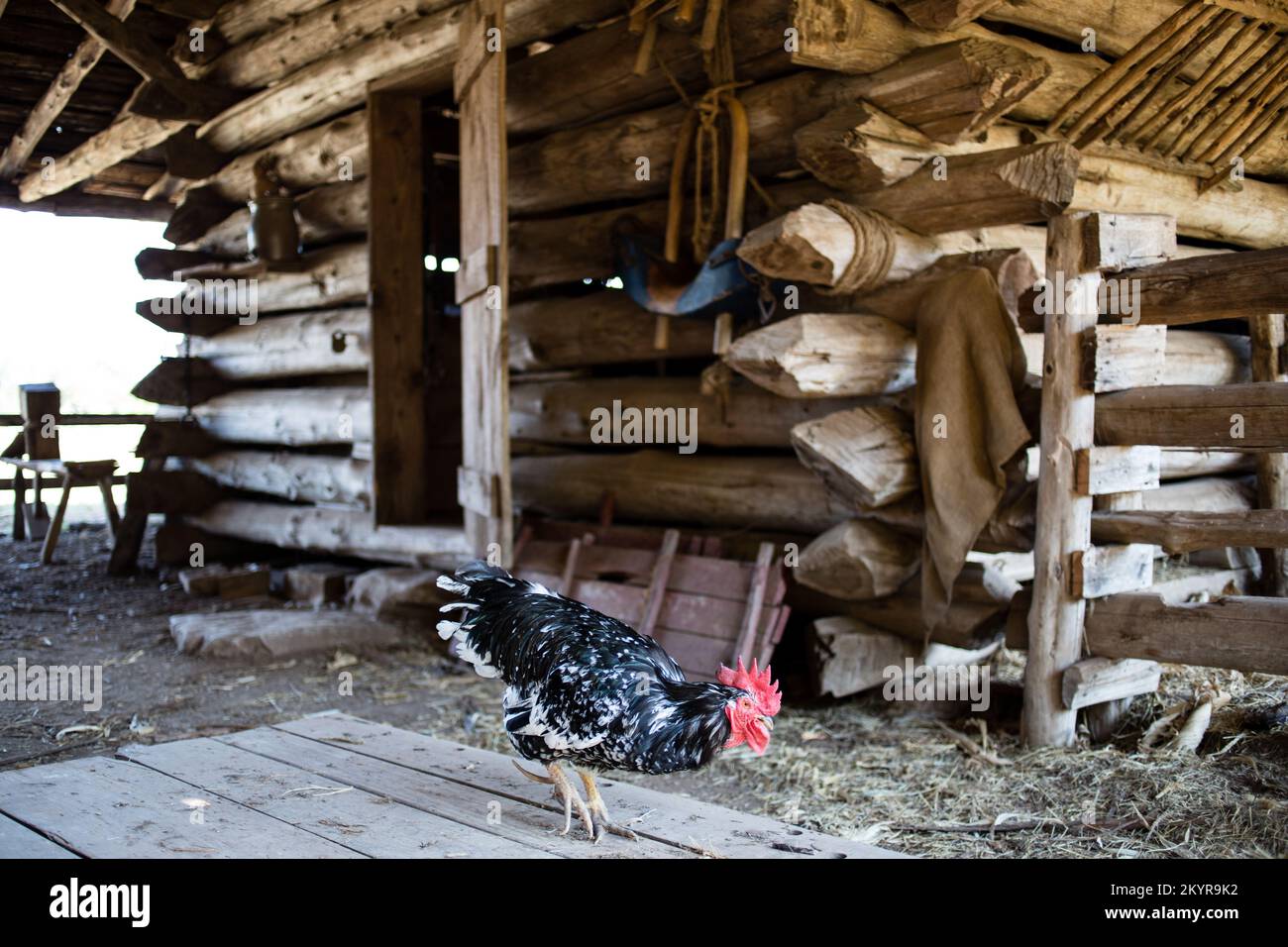 Historical scenes from Central Texas Stock Photo - Alamy
